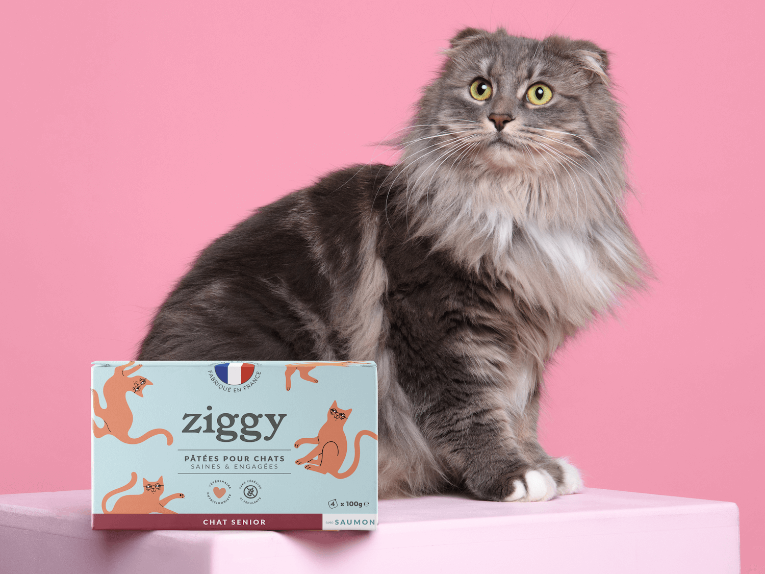 Pâtée pour chat senior : alimentation saine et nutrition adaptée – Ziggy