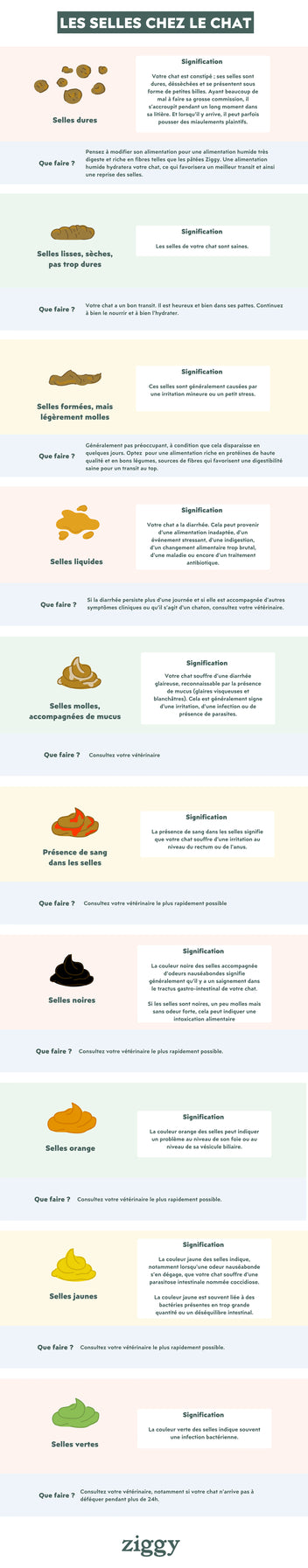 Que disent les selles de mon chat sur sa santé ? – Ziggy