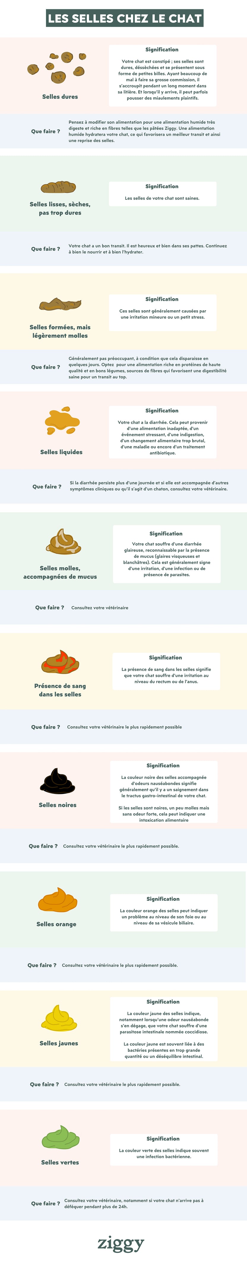 Que disent les selles de mon chat sur sa santé ? – Ziggy