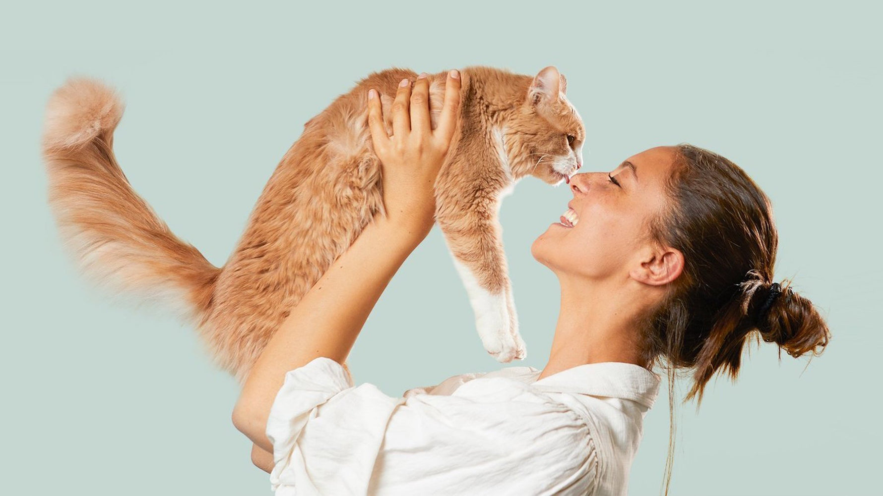 Ziggy | Healthy, transparent and committed food for cats
