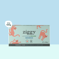 Ziggy | Healthy, transparent and committed food for cats