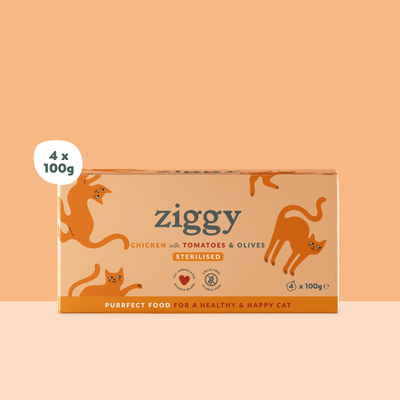 Ziggy | Healthy, transparent and committed food for cats