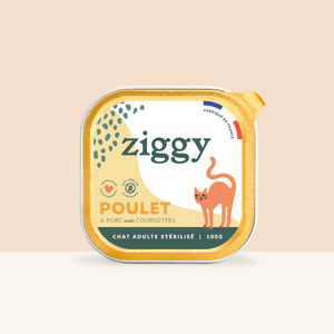 Poids du chat : courbe, poids idéal et suivi selon l’âge – Ziggy