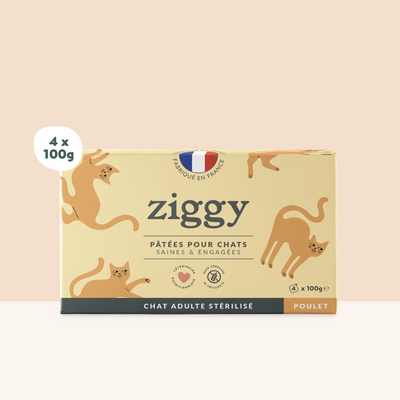 Poids du chat : courbe, poids idéal et suivi selon l’âge – Ziggy